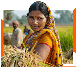 Our Story - IIFL Samasta